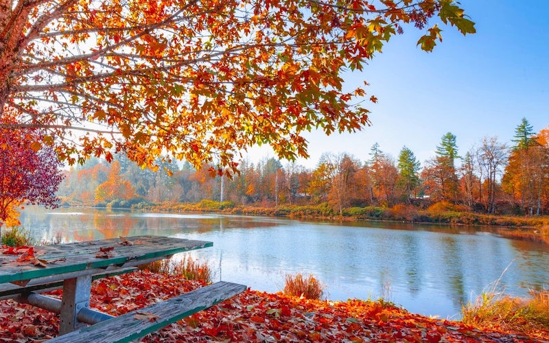 25η Μαρτίου Εκδρομές - Ταξιδιωτικό Γραφείο Travel Time